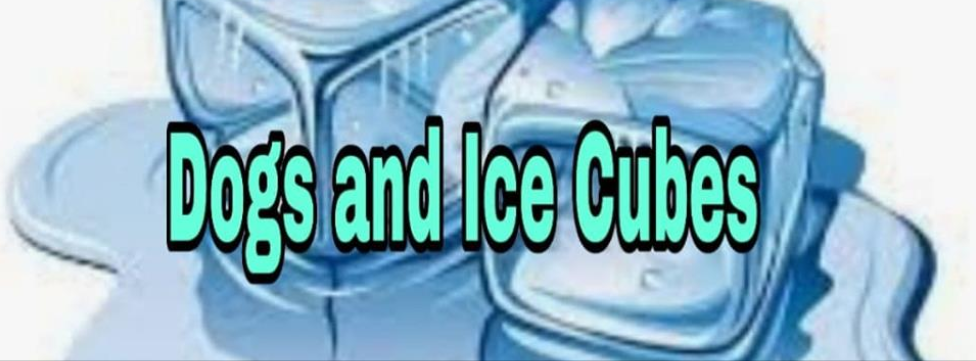 Ice Cubes: Dogs – RVO Vet Corner Files