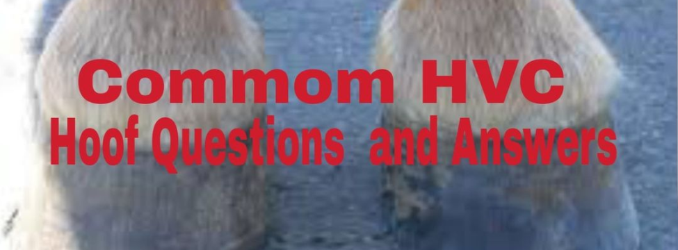 Common HVC Hoof Questions and Answers – RVO Vet Corner Files