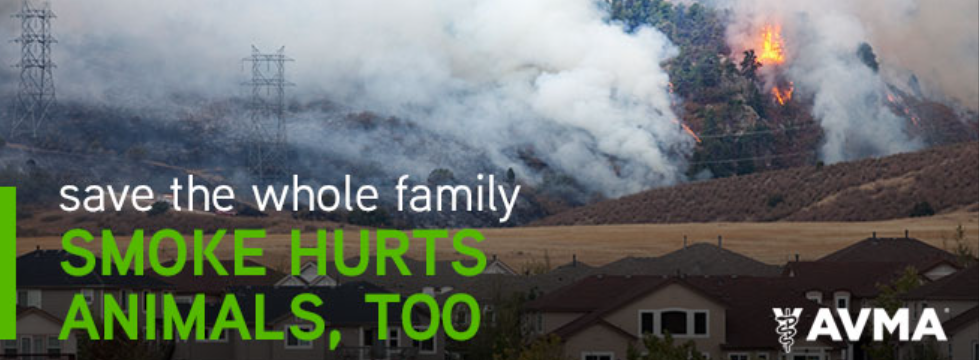Wildfire Smoke: Protecting Livestock and Pets – RVO Vet Corner Files