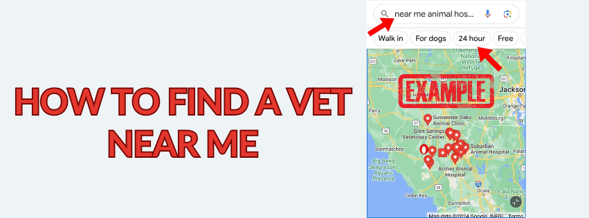 Learning to use the Google search option “Near Me” – RVO Vet Corner Files