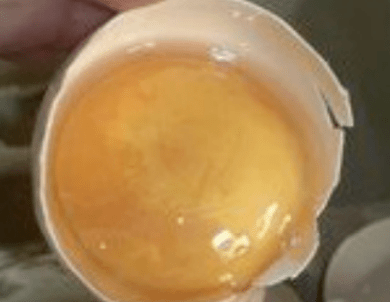 Egg Yolk: What To know – RVO Vet Corner Files