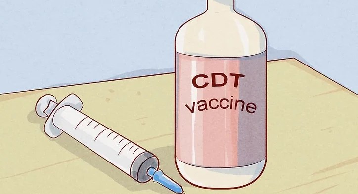 Clostridial Enterotoxemia and Tetanus Vaccine: Importance – RVO Vet ...