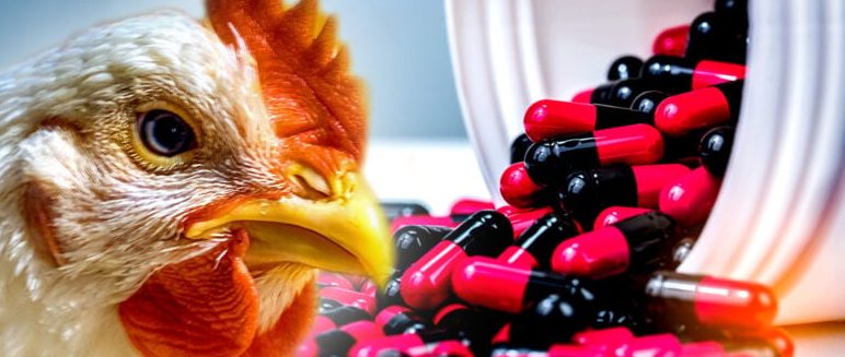 Meds to stay away from – RVO Vet Corner Files